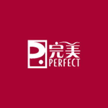 Perfect China Company Profile - Strategy, Stats & Revenue